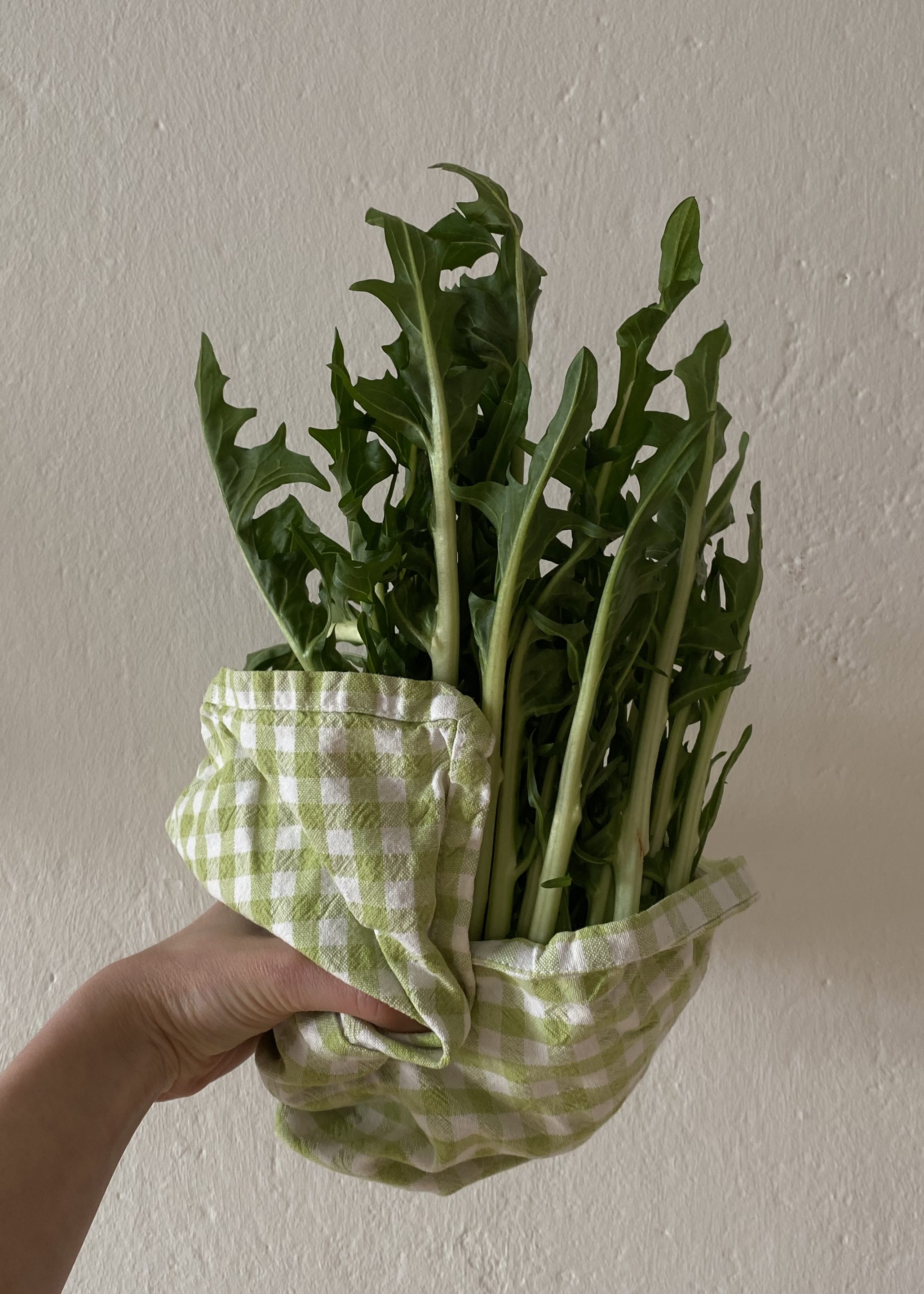 P(l)atter Recipe No.1 — Puntarella Alla Romana in Her Best Dress