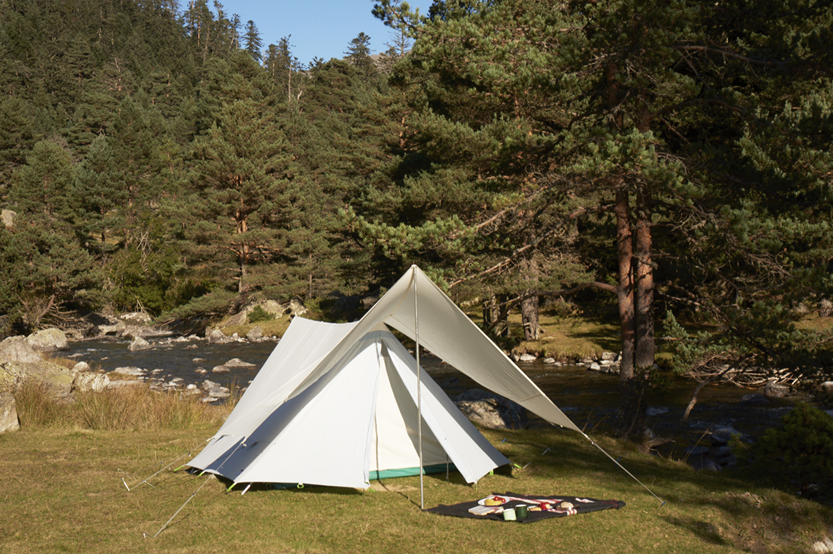 Get to Know — Attis