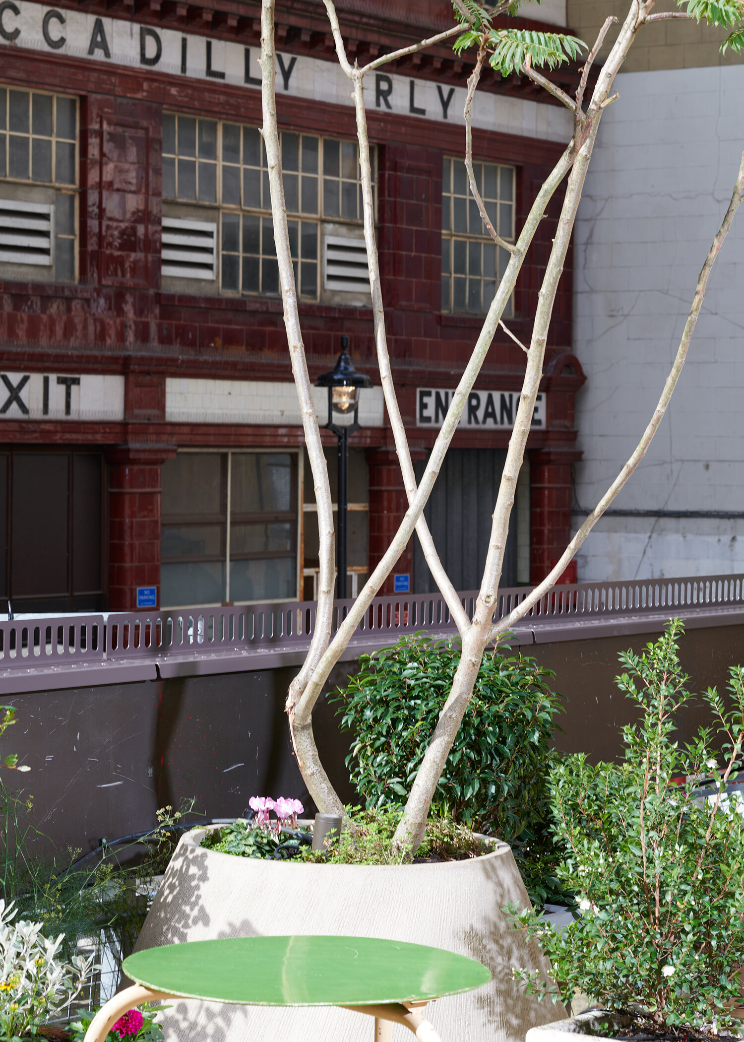 Patter Places — Toklas